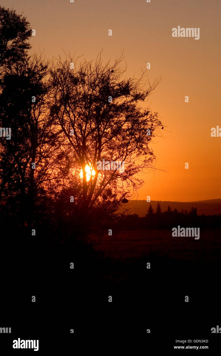 Sunset in Orange Free State, South Africa Stock Photo - Alamy