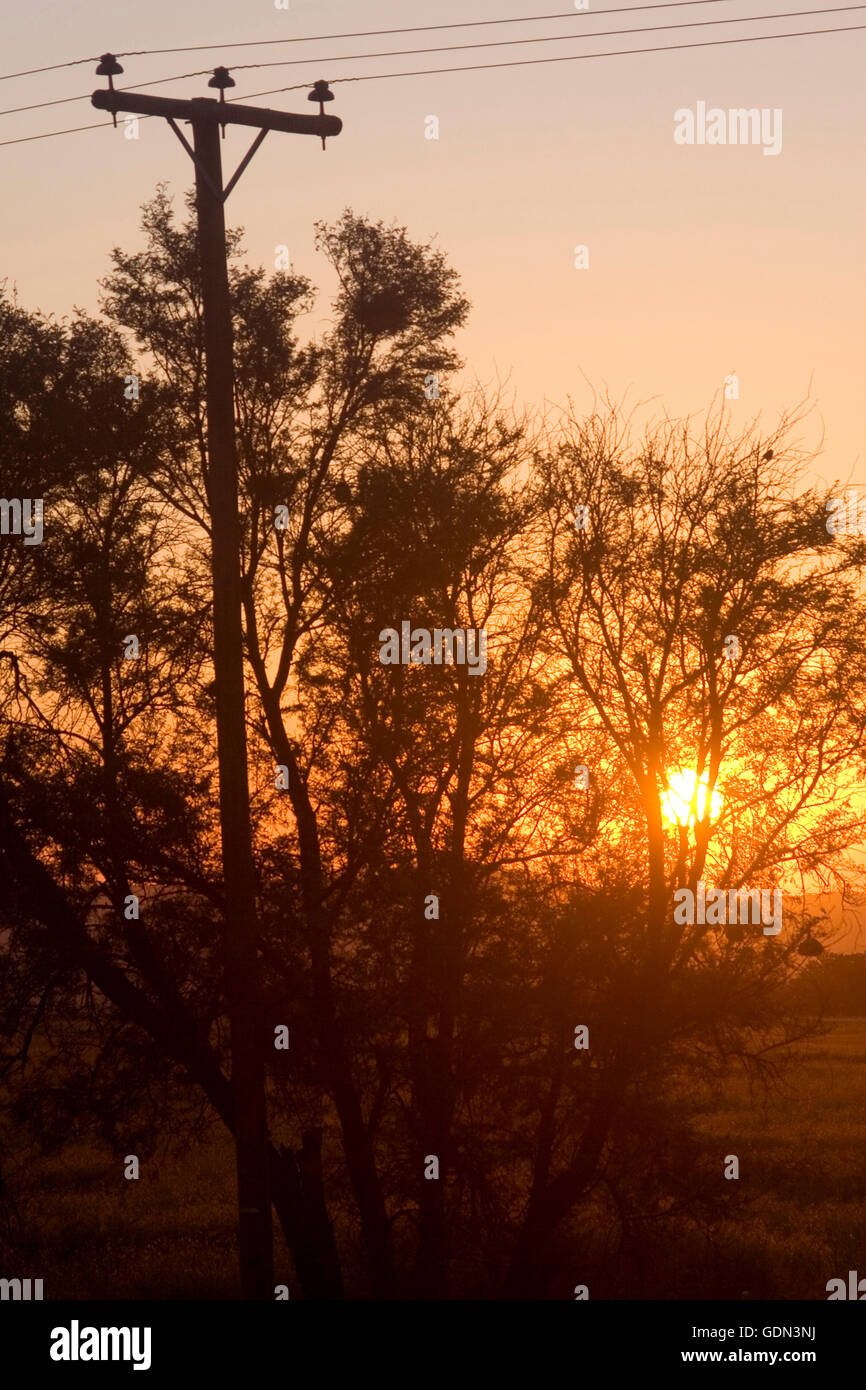 Sunset in Orange Free State, South Africa Stock Photo - Alamy