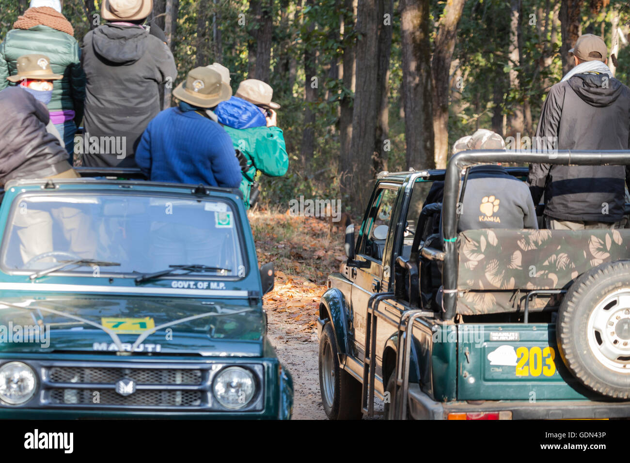Open Maruti Gypsy King