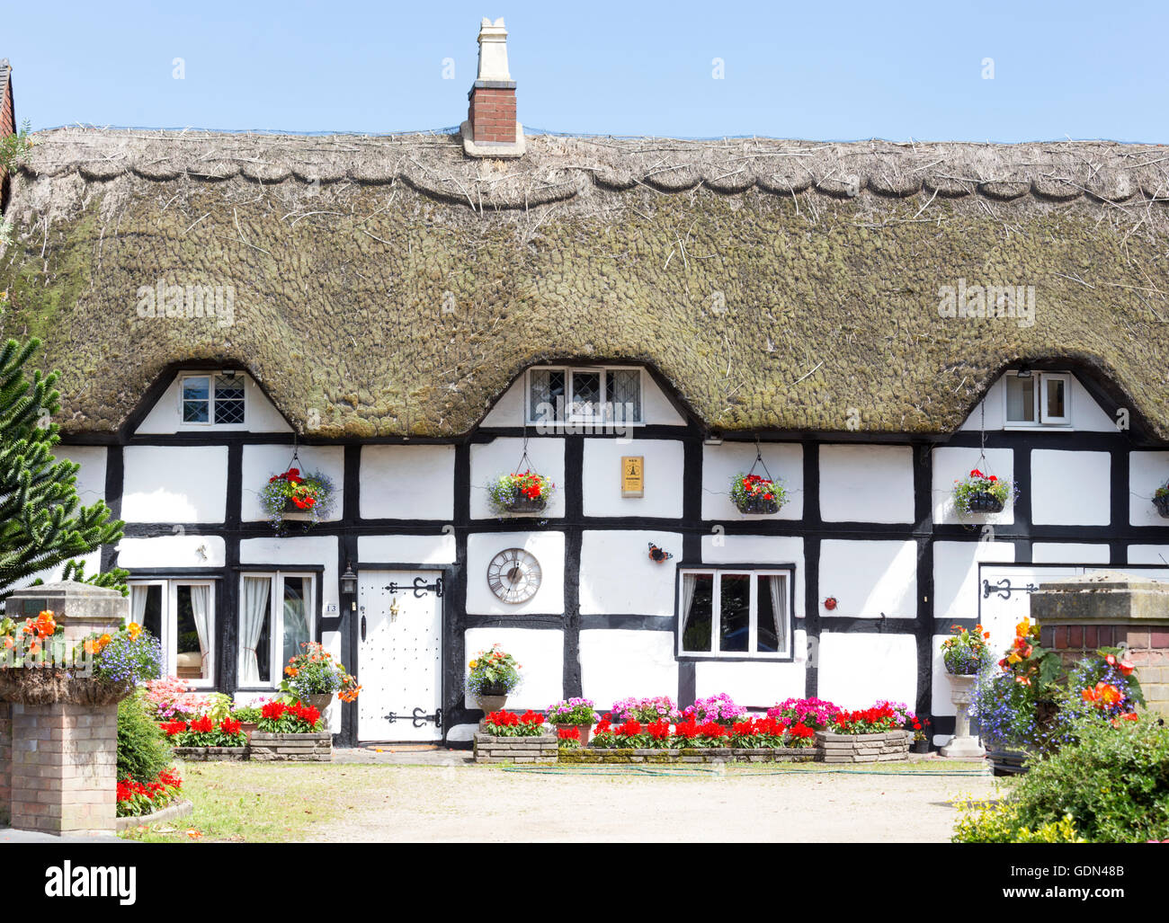 Timber-framed thatched cottage, England, UK Stock Photo - Alamy