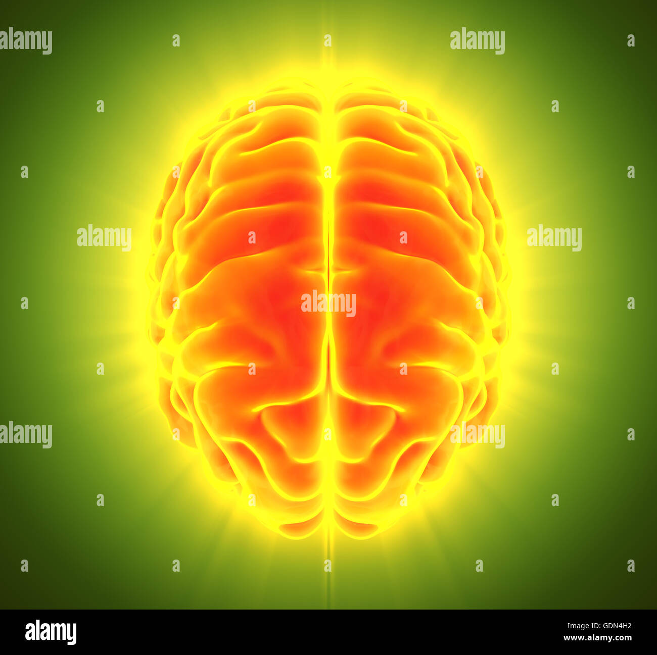 3D illustration of bright orange brain, anatomy and medical concept ...