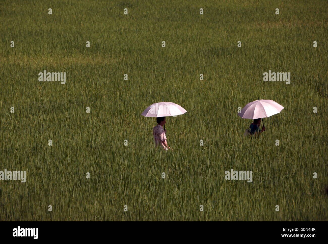 a farming village of the minority of Lahu or Lisu near the village of ...