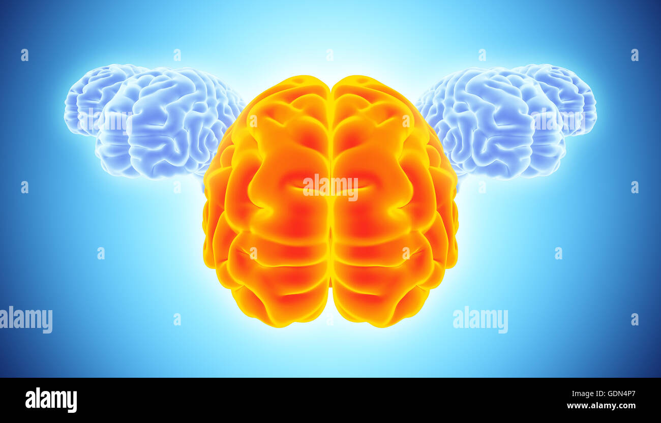 3D illustration of conceptual bright orange and blue brain, brain storm ...