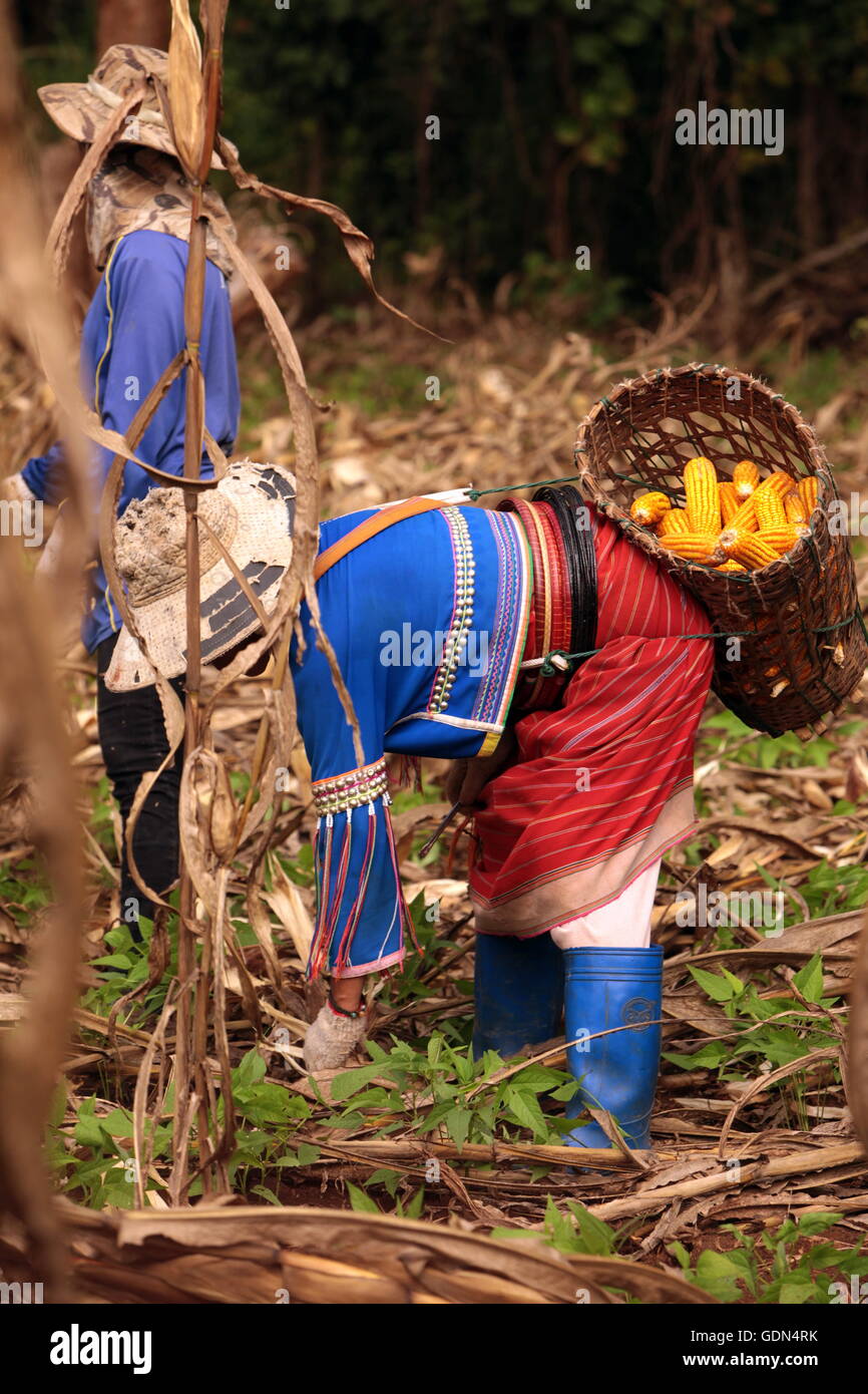 Ang village hi-res stock photography and images - Alamy