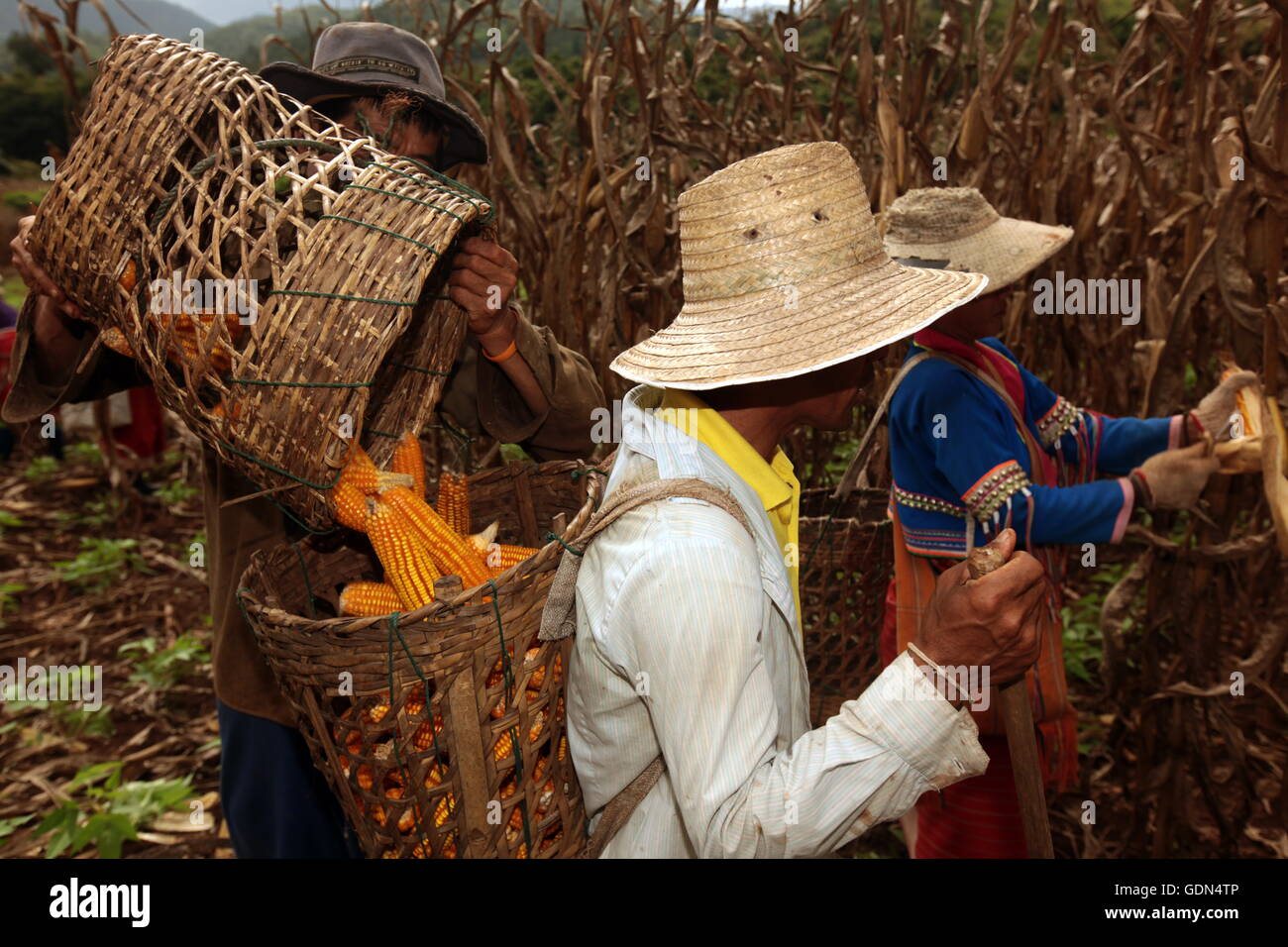 Ang village hi-res stock photography and images - Alamy