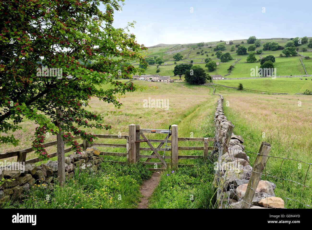 Healaugh hi-res stock photography and images - Alamy