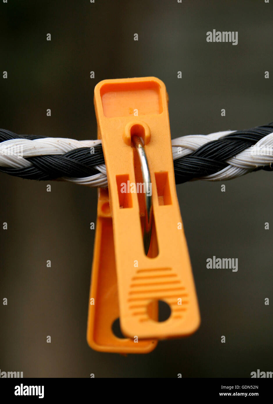 Peg on the washing line Stock Photo - Alamy