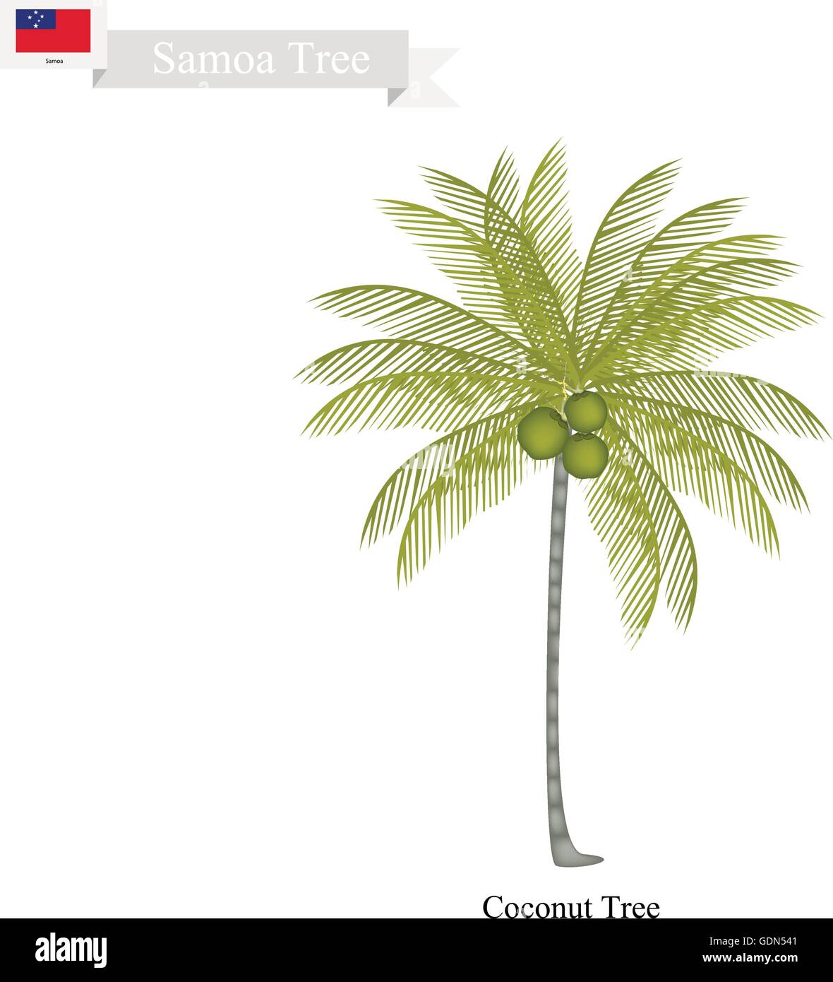 Samoa Tree, Illustration of Coconut Tree. The Native Tree of Samoa ...