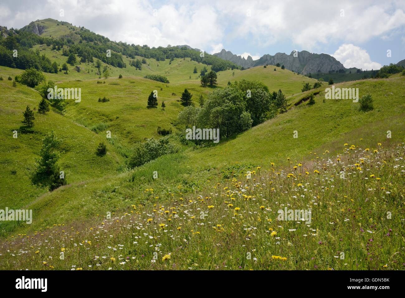 Sutjeska national park hi-res stock photography and images - Alamy