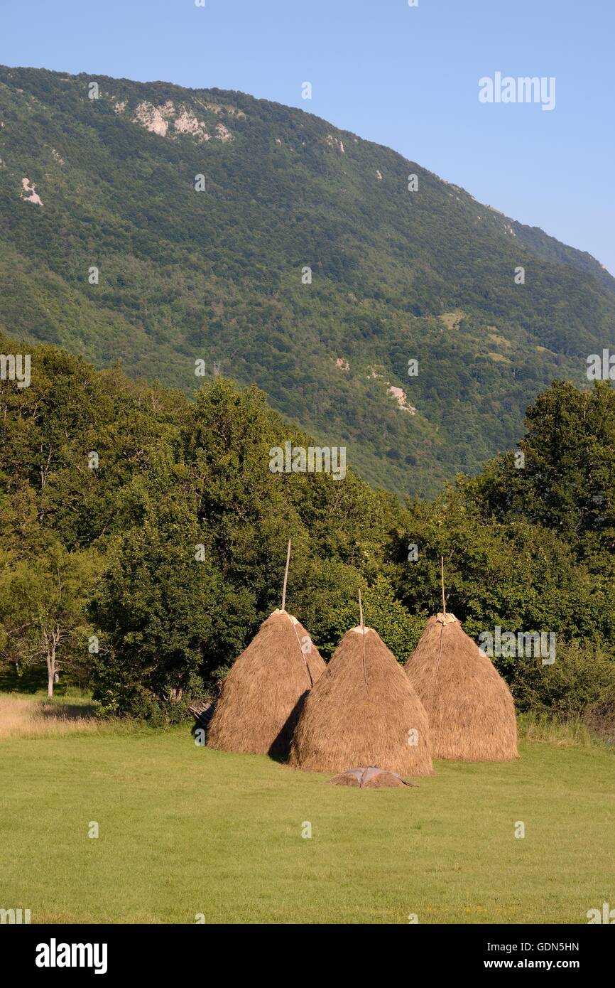 Foca bosnia hi-res stock photography and images - Alamy