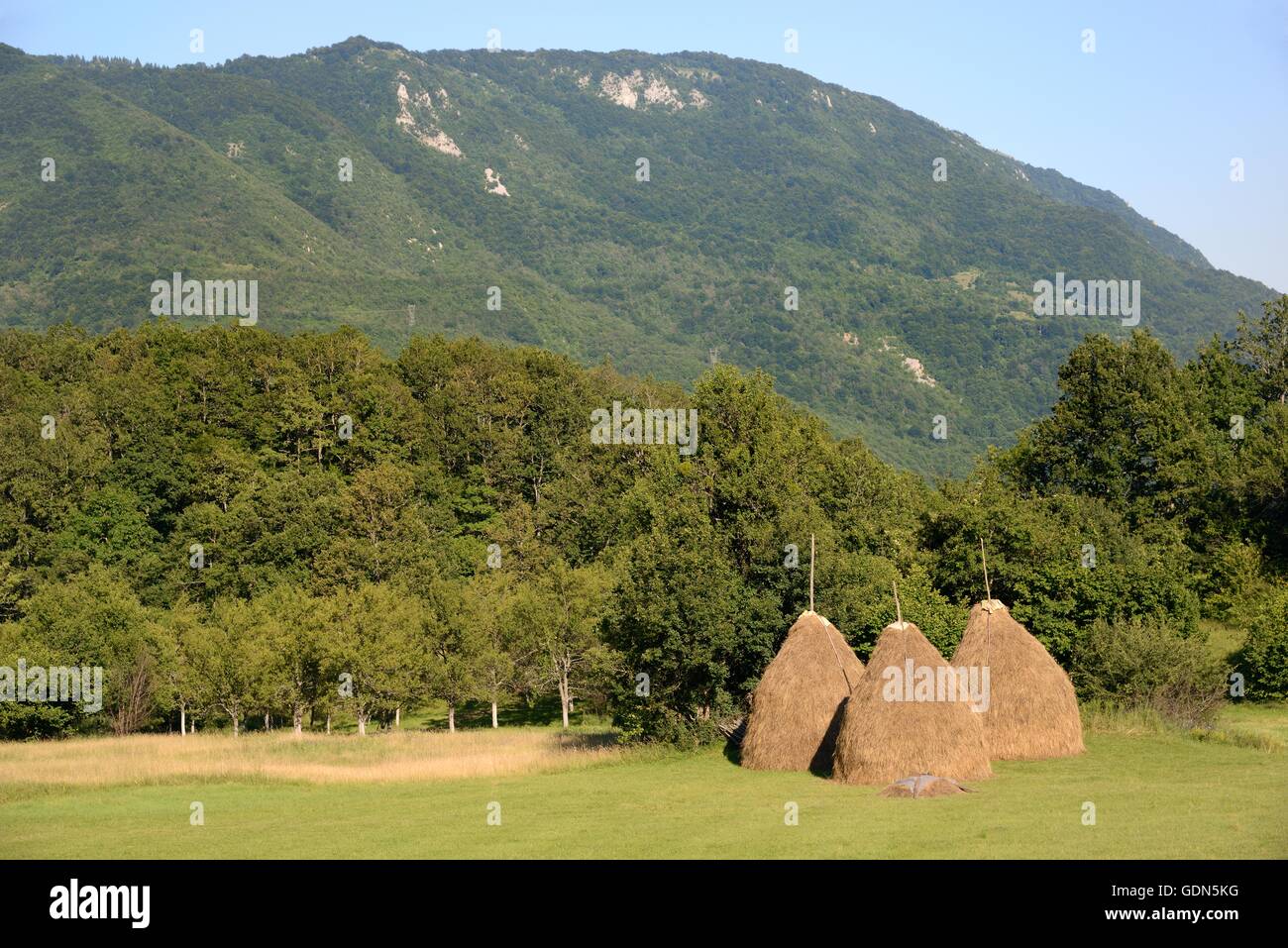 Hay stacks southeast hi-res stock photography and images - Alamy