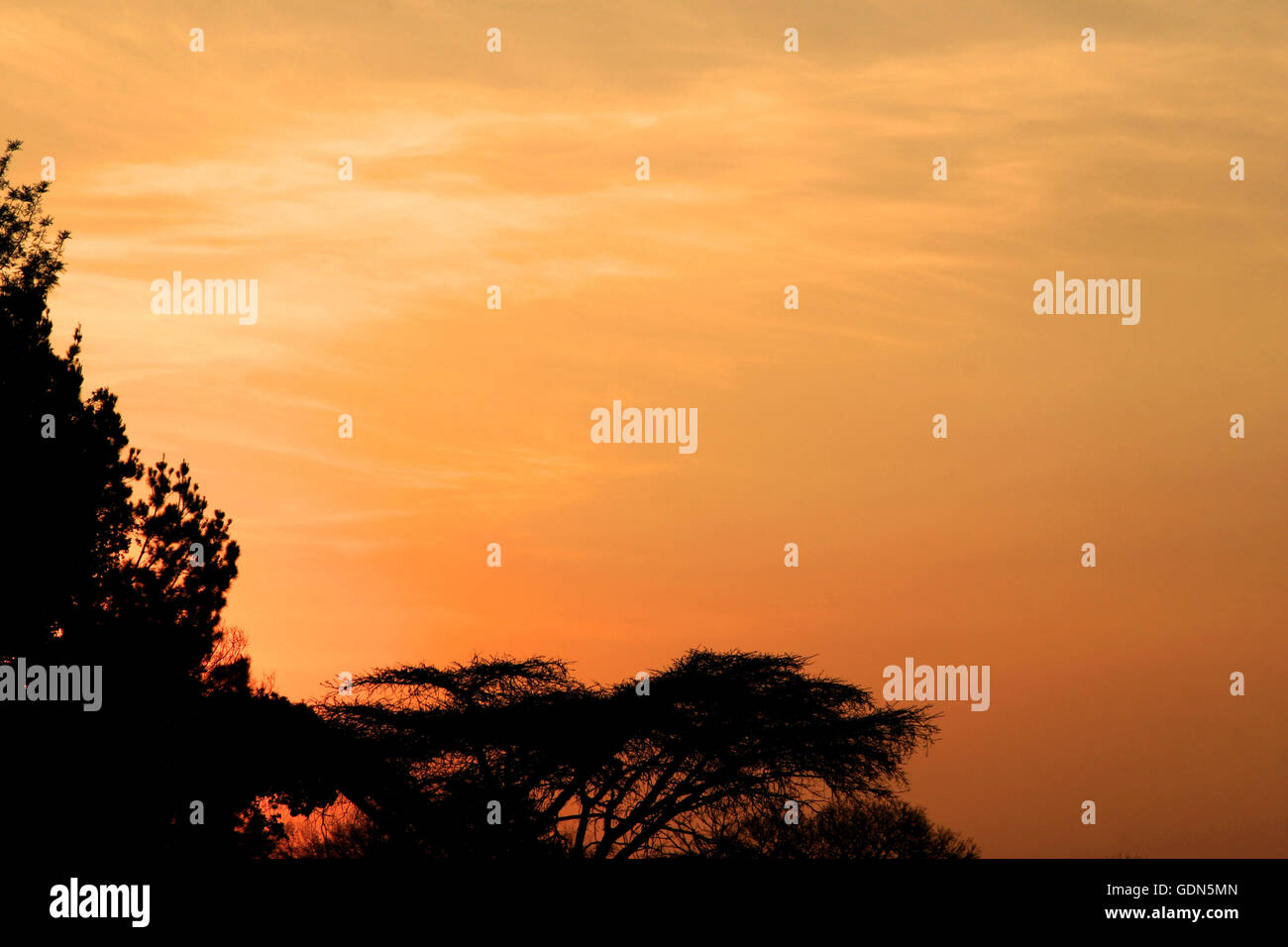 South african sunset sky hi-res stock photography and images - Alamy