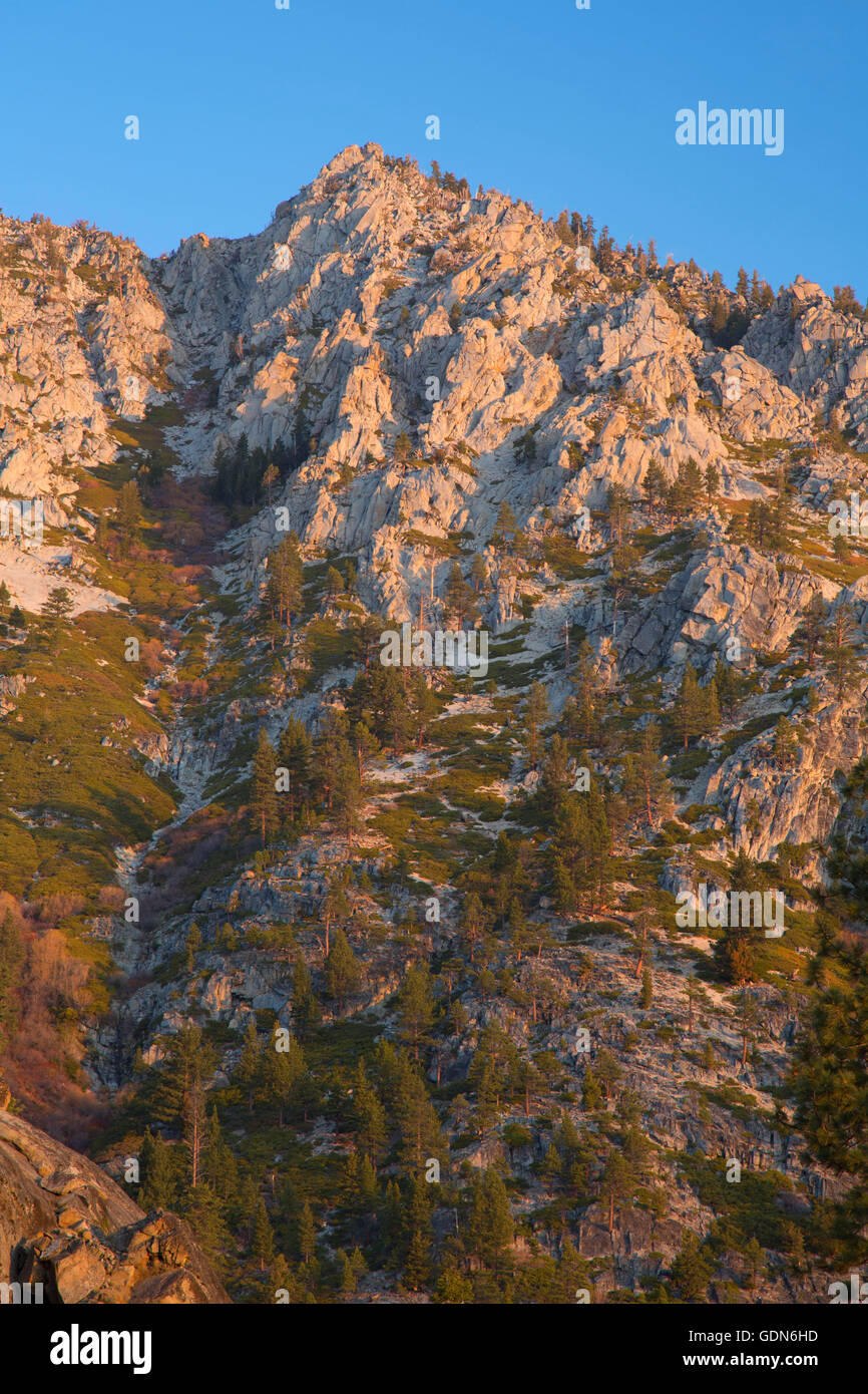 Ridge above Lake Tahoe, Lake Tahoe Basin National Forest, California ...