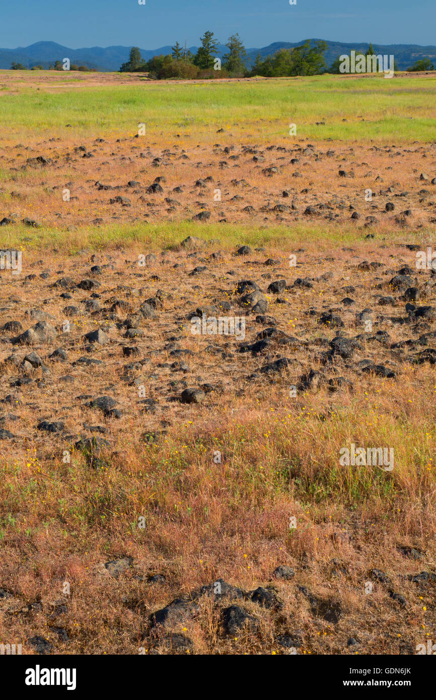 Grassland plateau, Upper Table Rock Preserve, Medford District Bureau ...