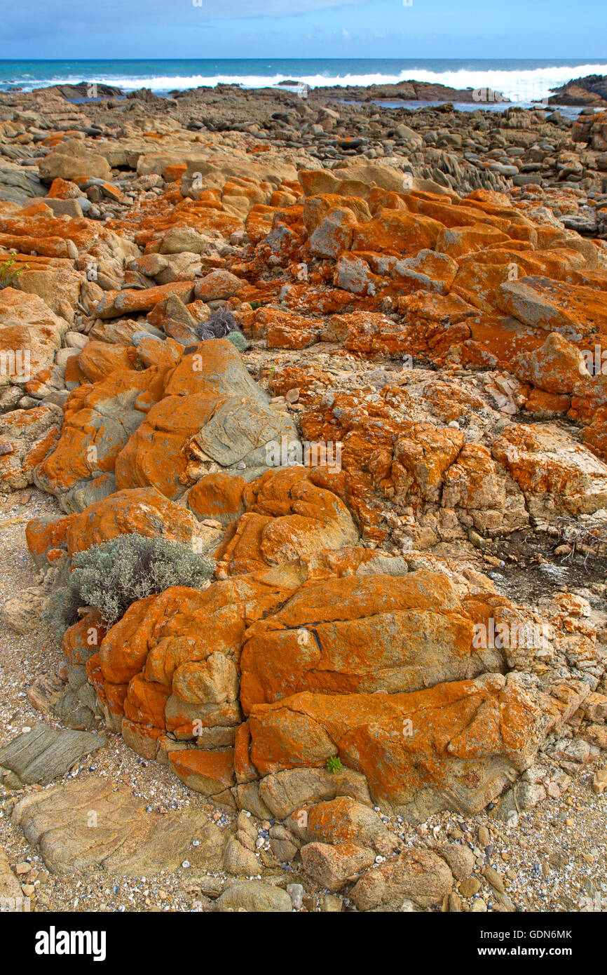 Lichen-covered rocks at Corny Point on the Yorke Peninsula Stock Photo ...