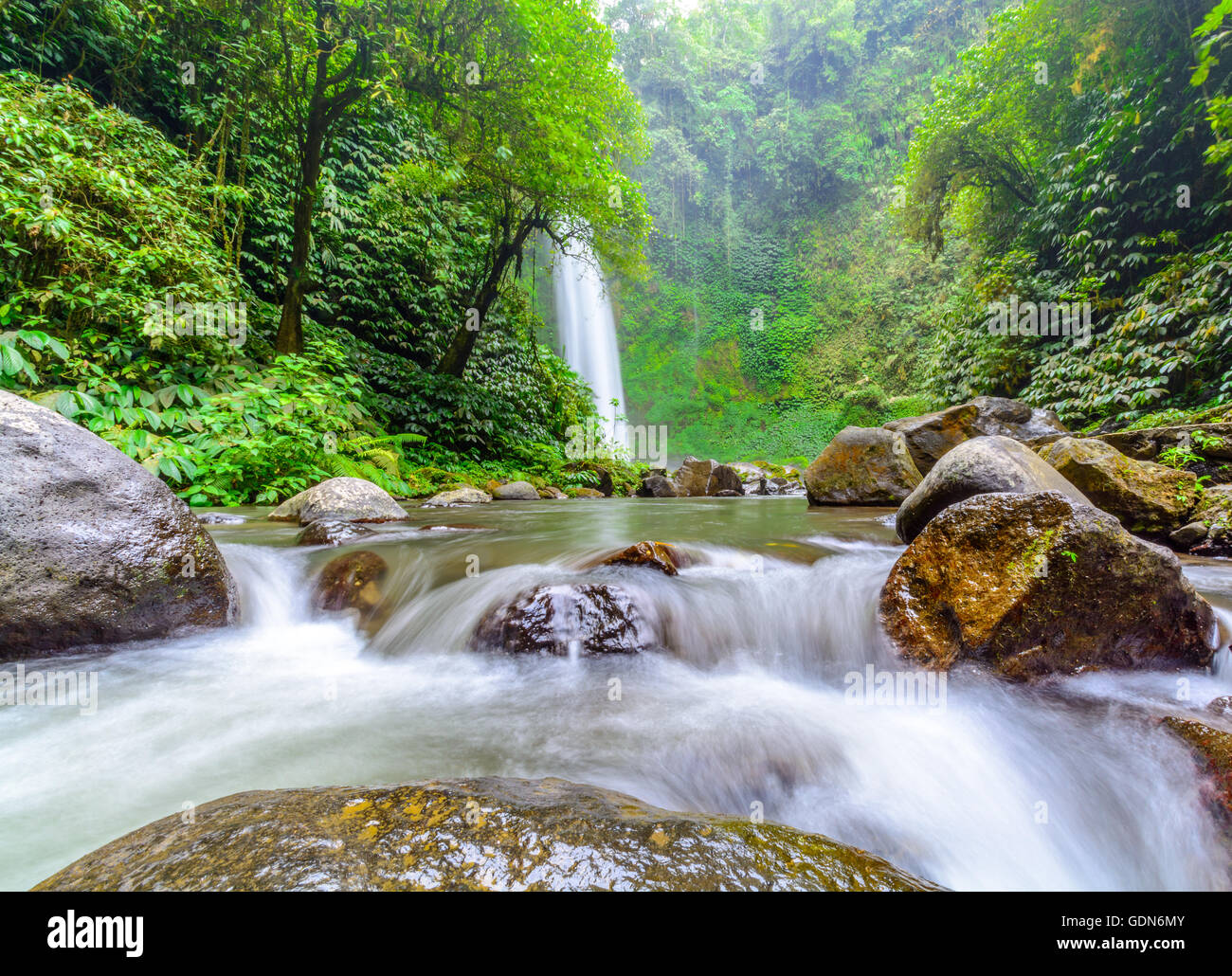 Tropical Islands Waterfalls