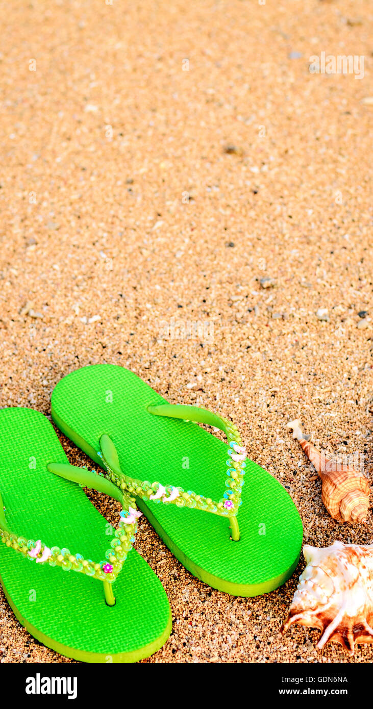 Womens sandals at the beach on the shoreline with sea shells Stock ...