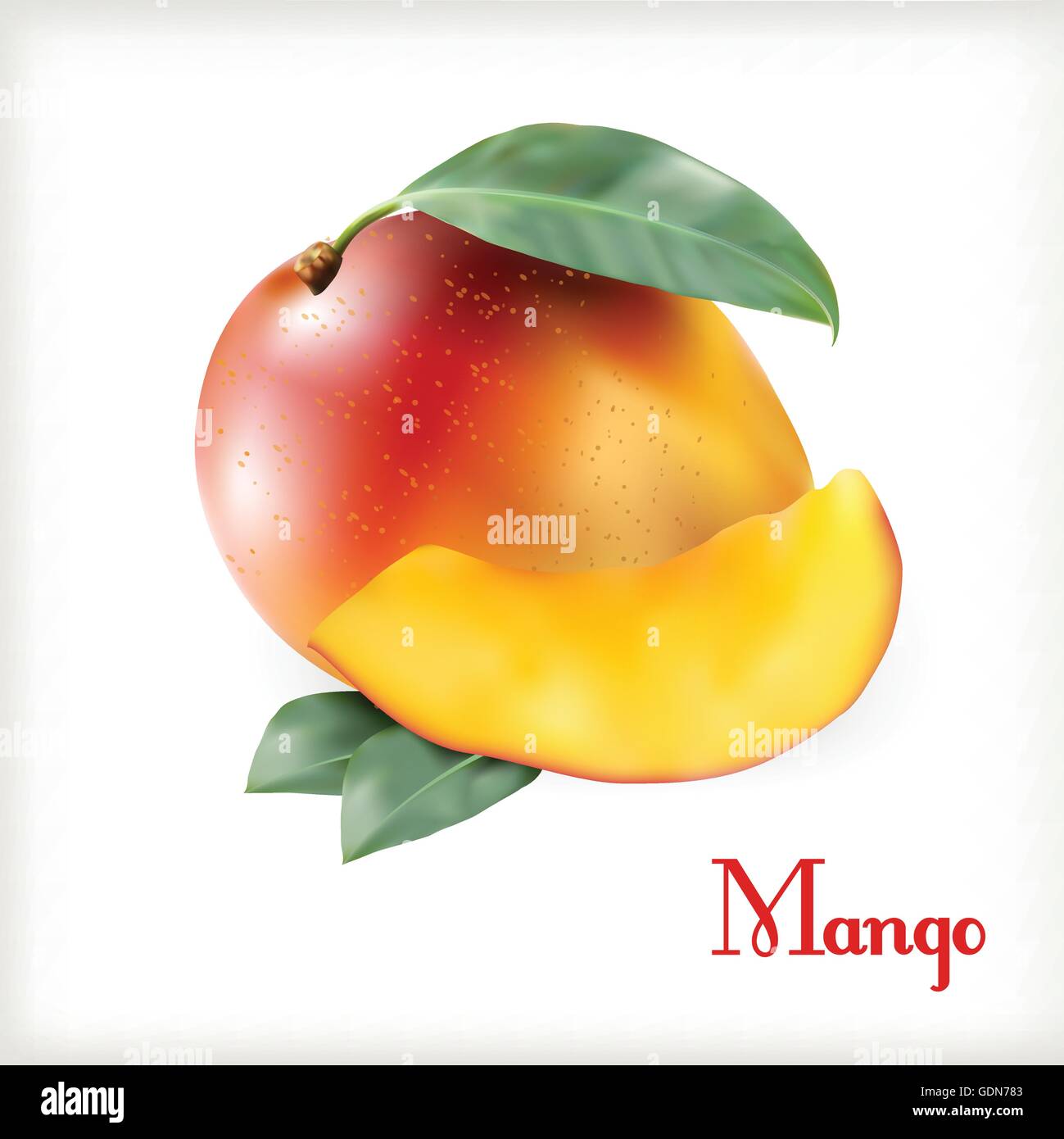 Fresh colorful mango cut Stock Vector Images - Alamy