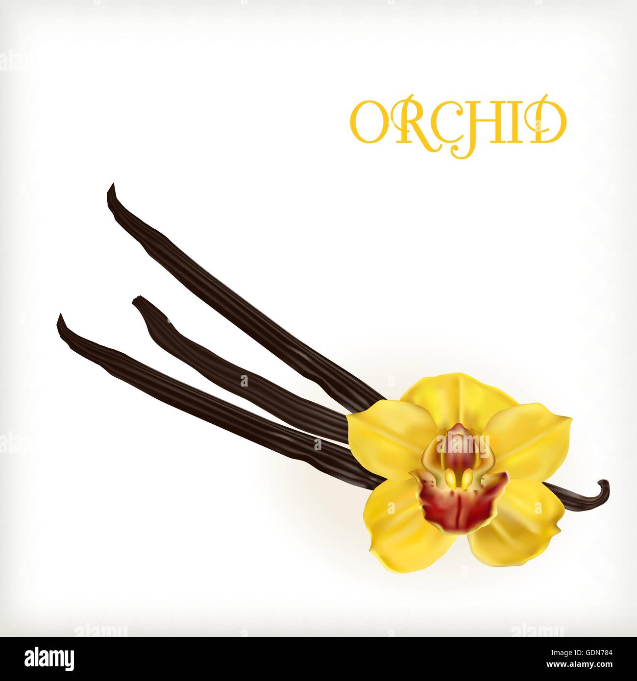 Vanilla pods isolated Stock Vector Images - Alamy