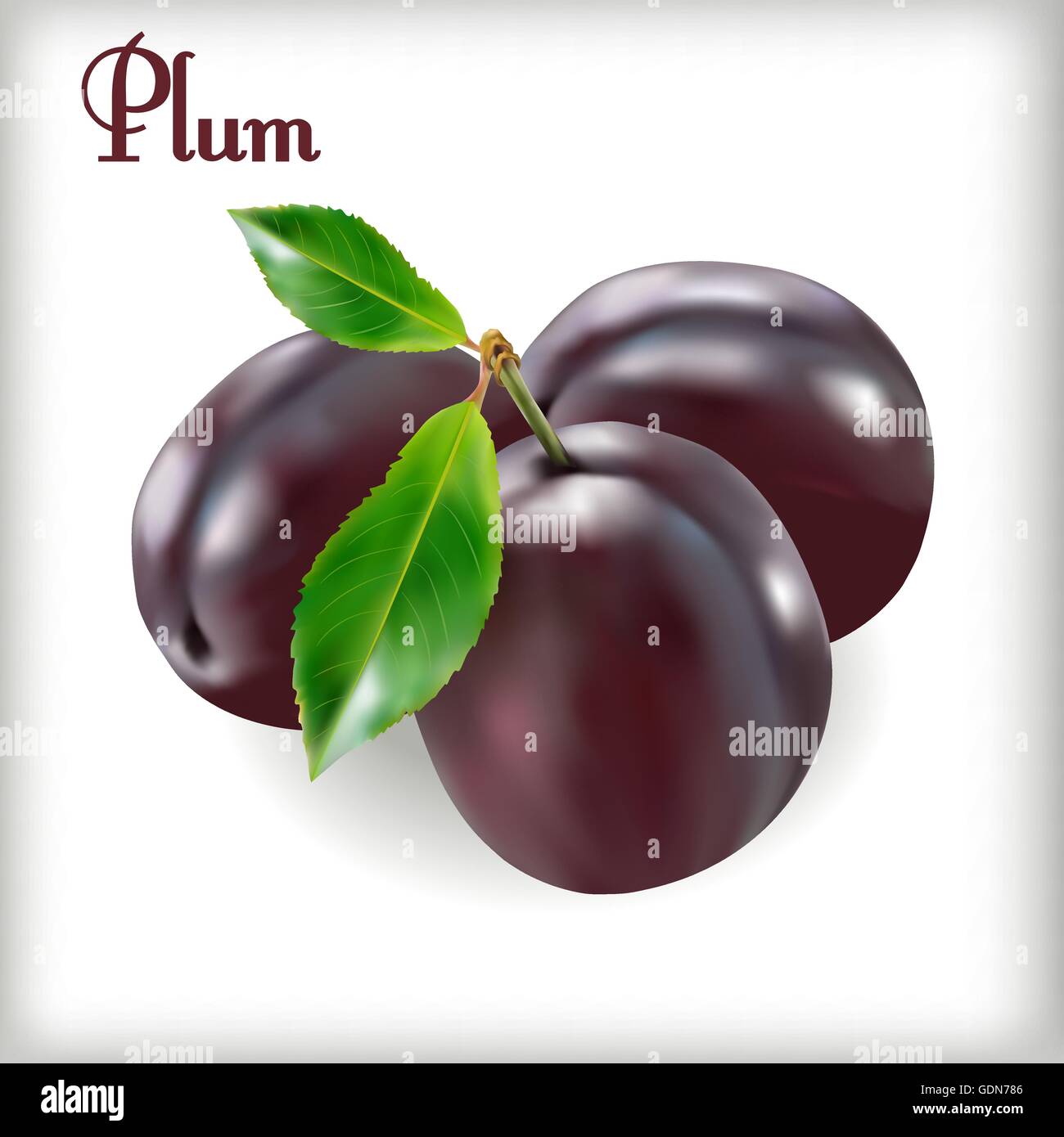 Realistic plums hi-res stock photography and images - Alamy