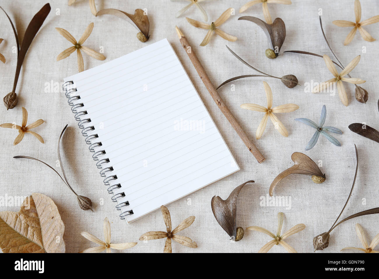 Notebook with flowers and seeds, Autumn background Stock Photo - Alamy