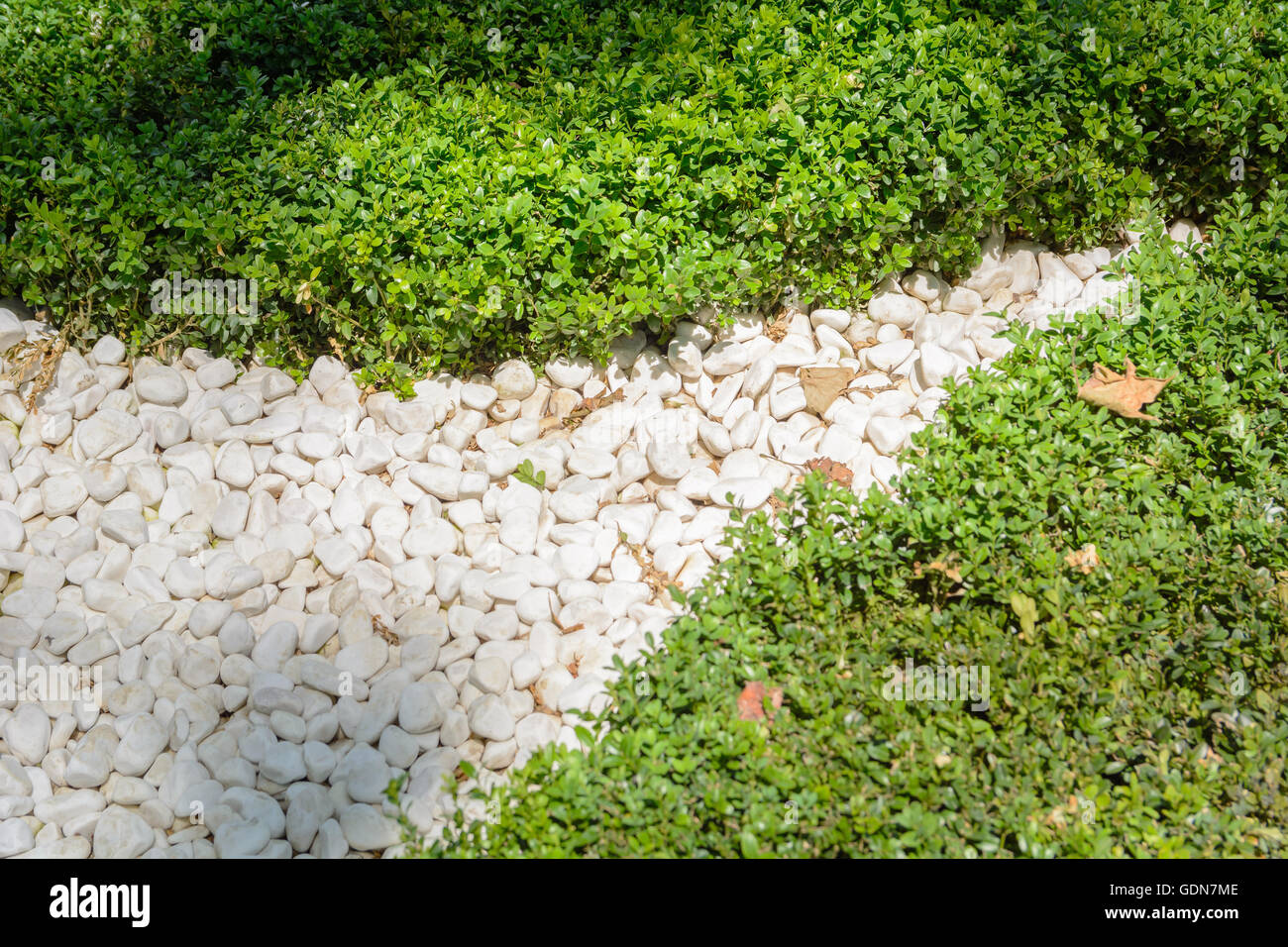White gravel path pathway hi-res stock photography and images - Alamy