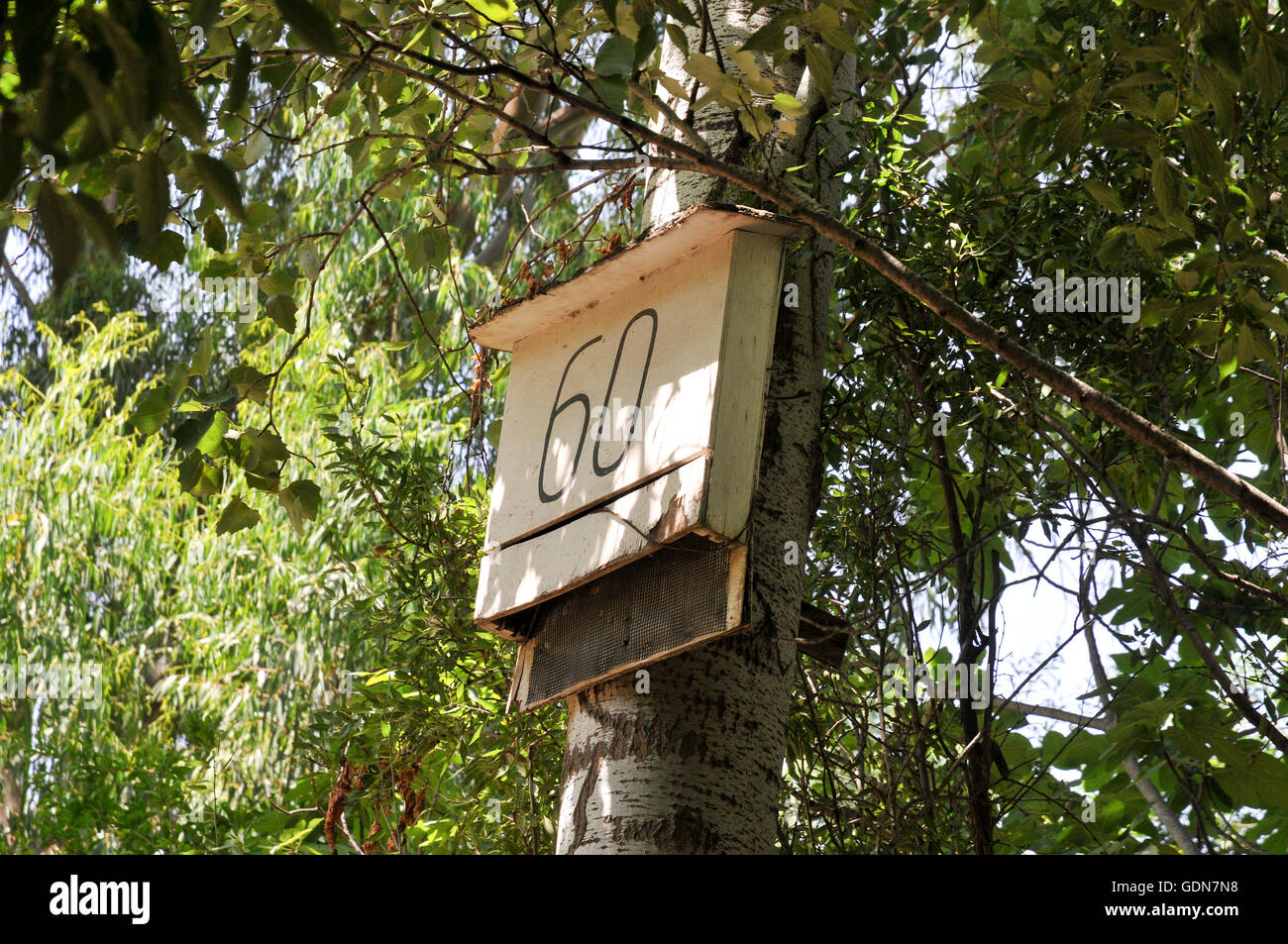 Bats nest hi-res stock photography and images - Alamy