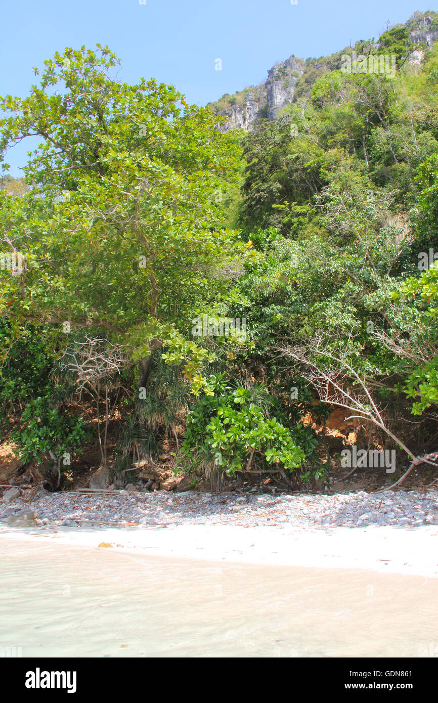 Crystal clear transparent water and beach in Thailand Stock Photo - Alamy