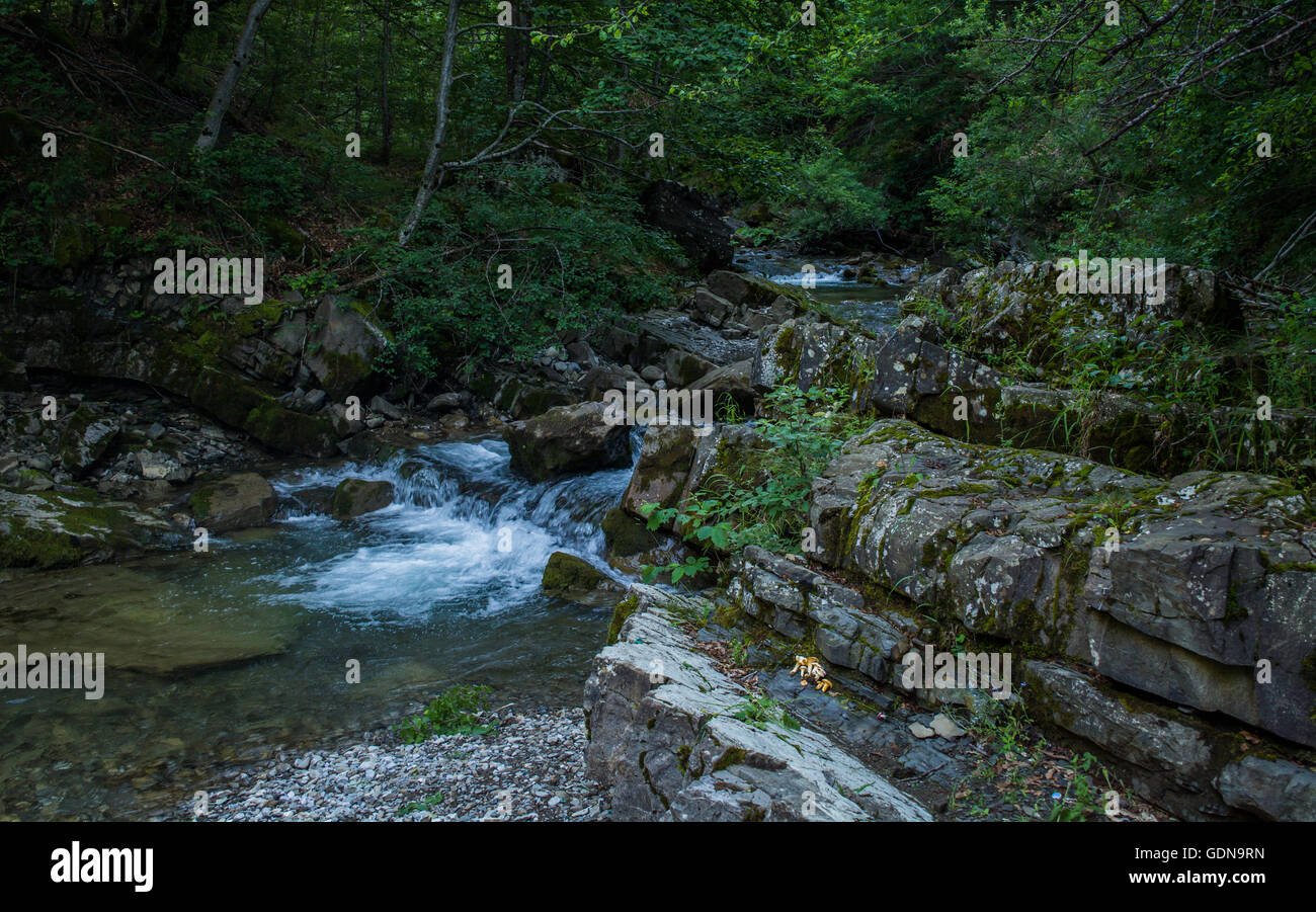 Tropical small waterfalls hi-res stock photography and images - Alamy