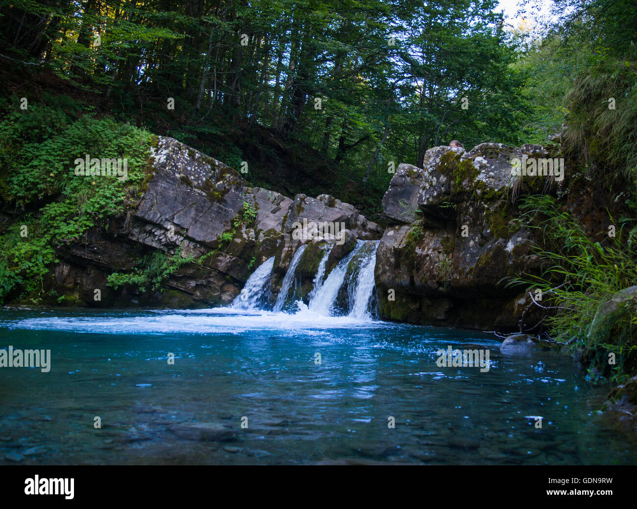 Forest small lake with cascade hi-res stock photography and images - Alamy