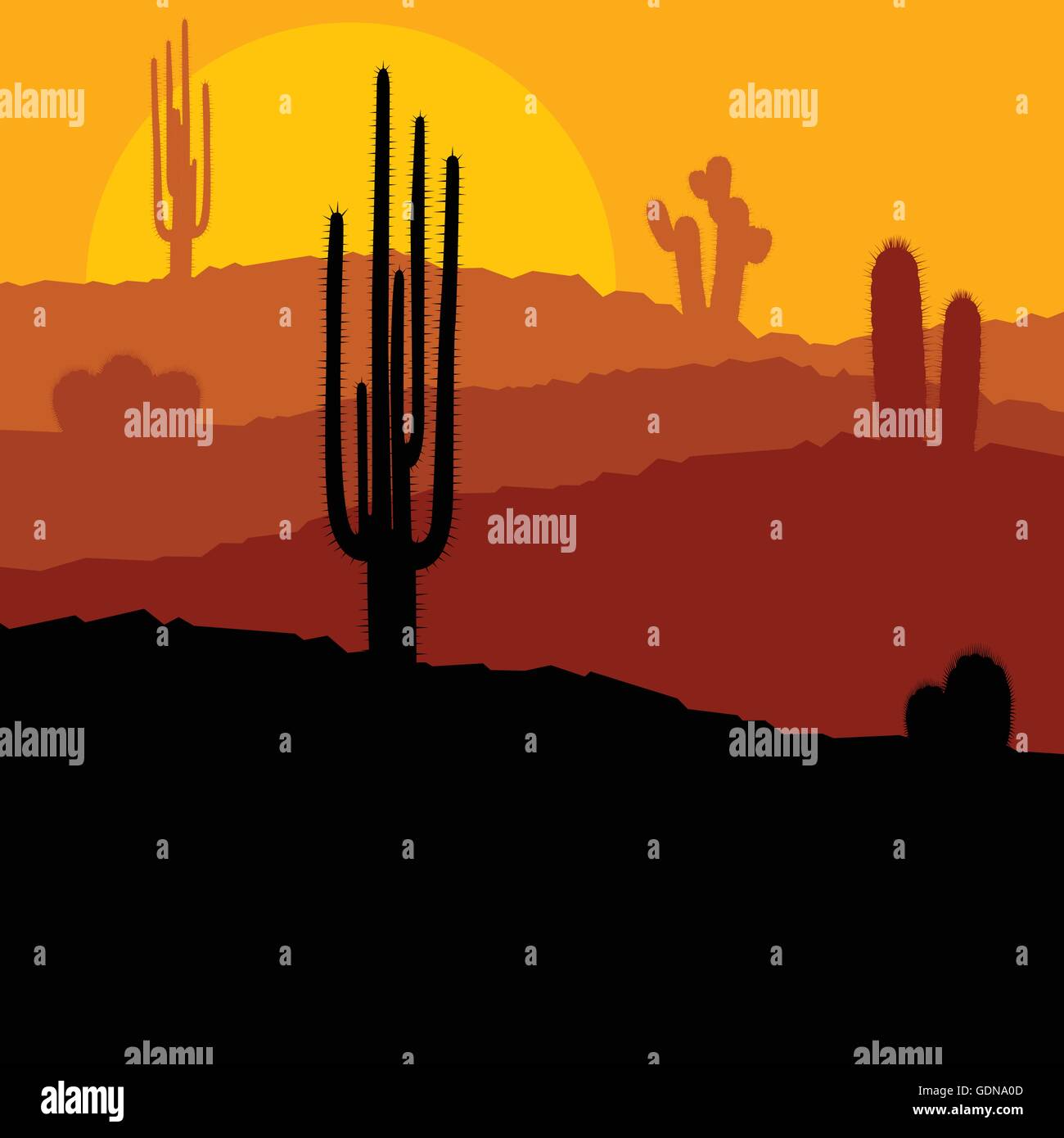 Cactus plants in Mexico desert sunset vector background Stock Vector ...
