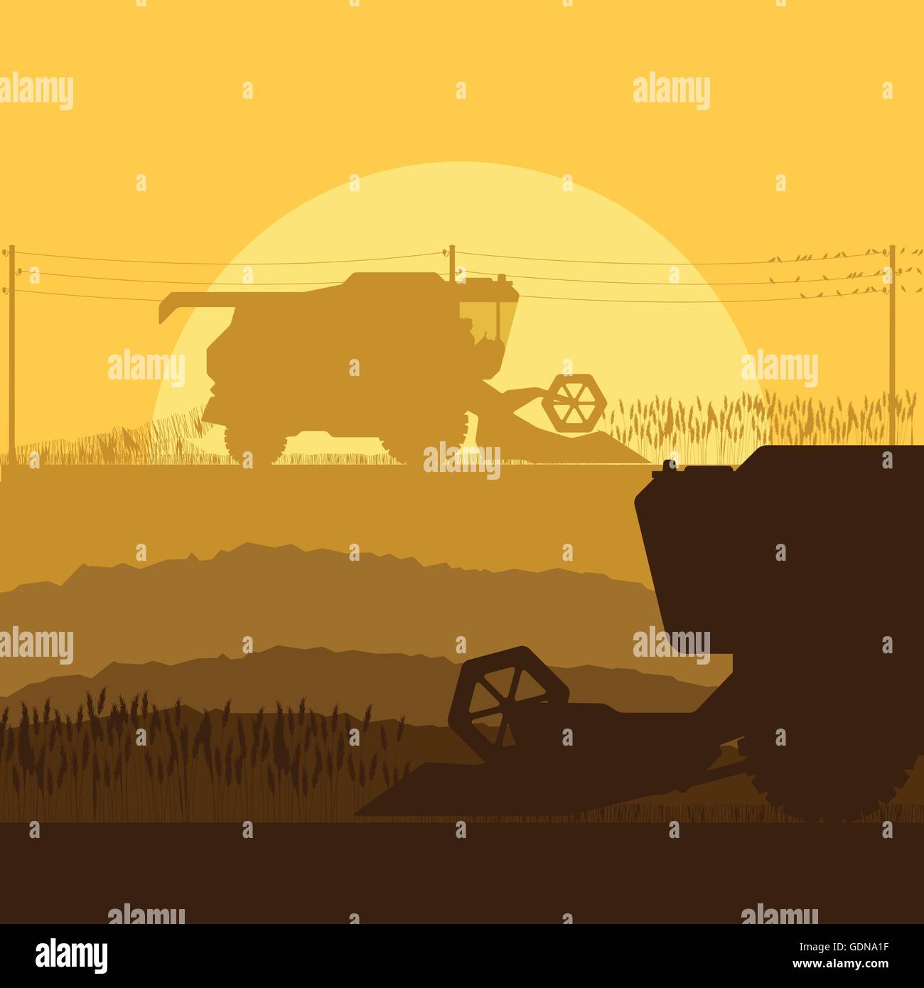 Combine harvesting crop in grain fields background vector illustration Stock Vector Image & Art ...