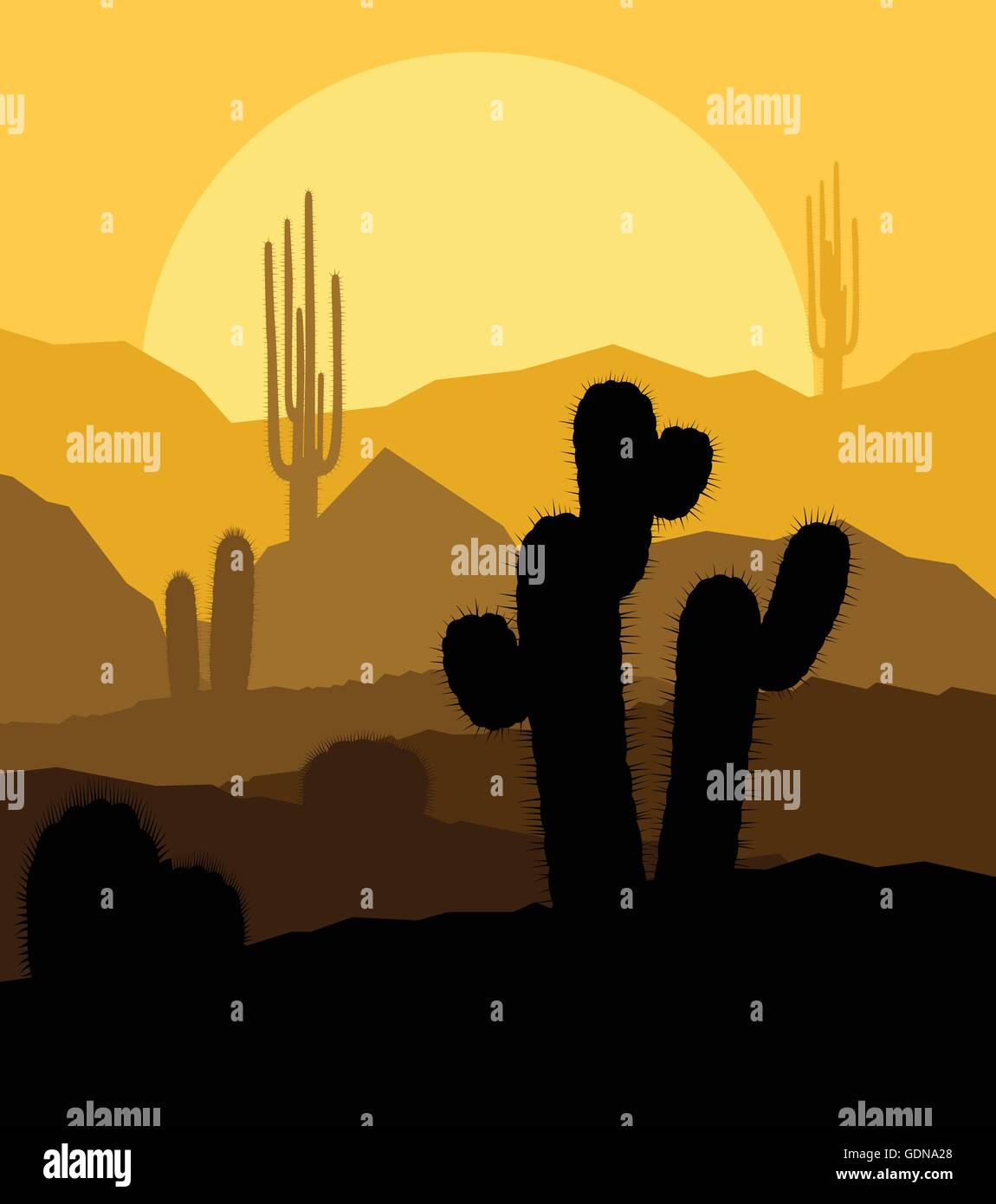 Saguaro cactus vector vectors hi-res stock photography and images - Alamy