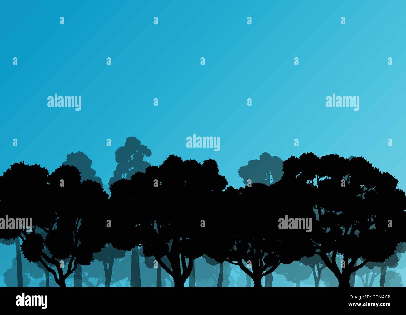 Forest trees silhouettes natural wild landscape detailed illustration ...