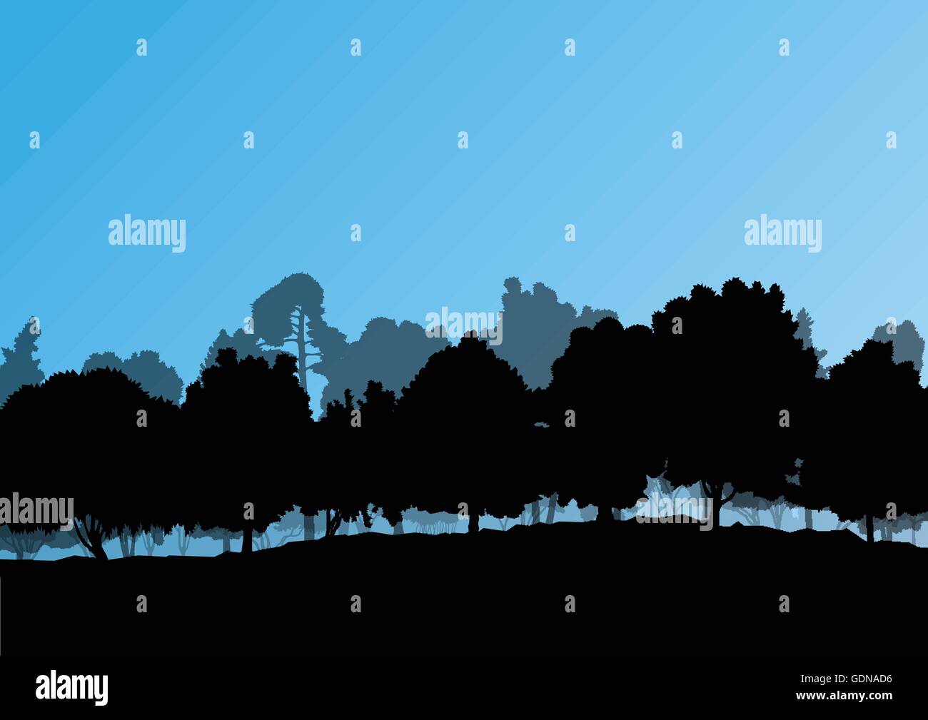 Big cedar trees Stock Vector Images - Alamy