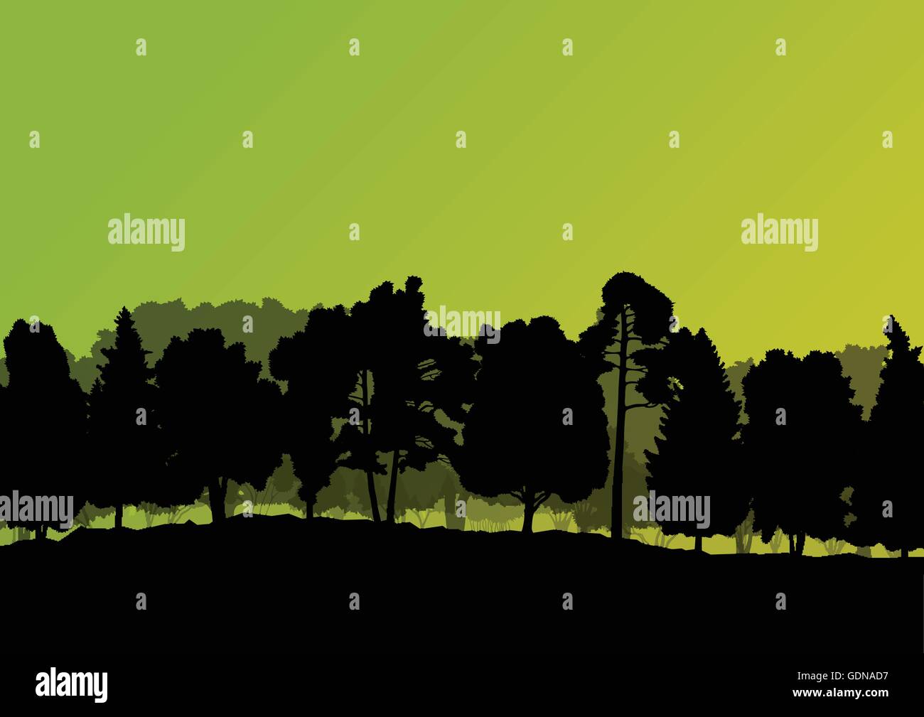 Forest trees silhouettes natural wild landscape detailed illustration ...