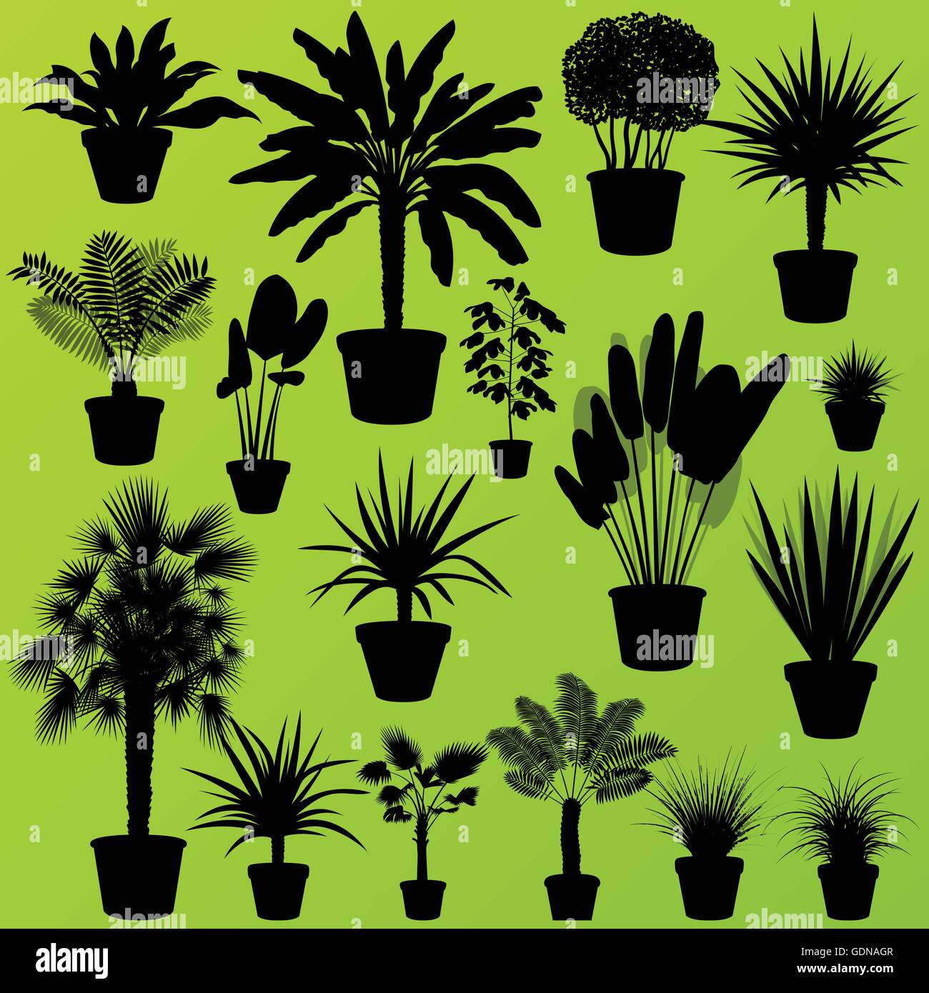 Exotic jungle bushes grass, reed, palm tree wild plants set vector ...