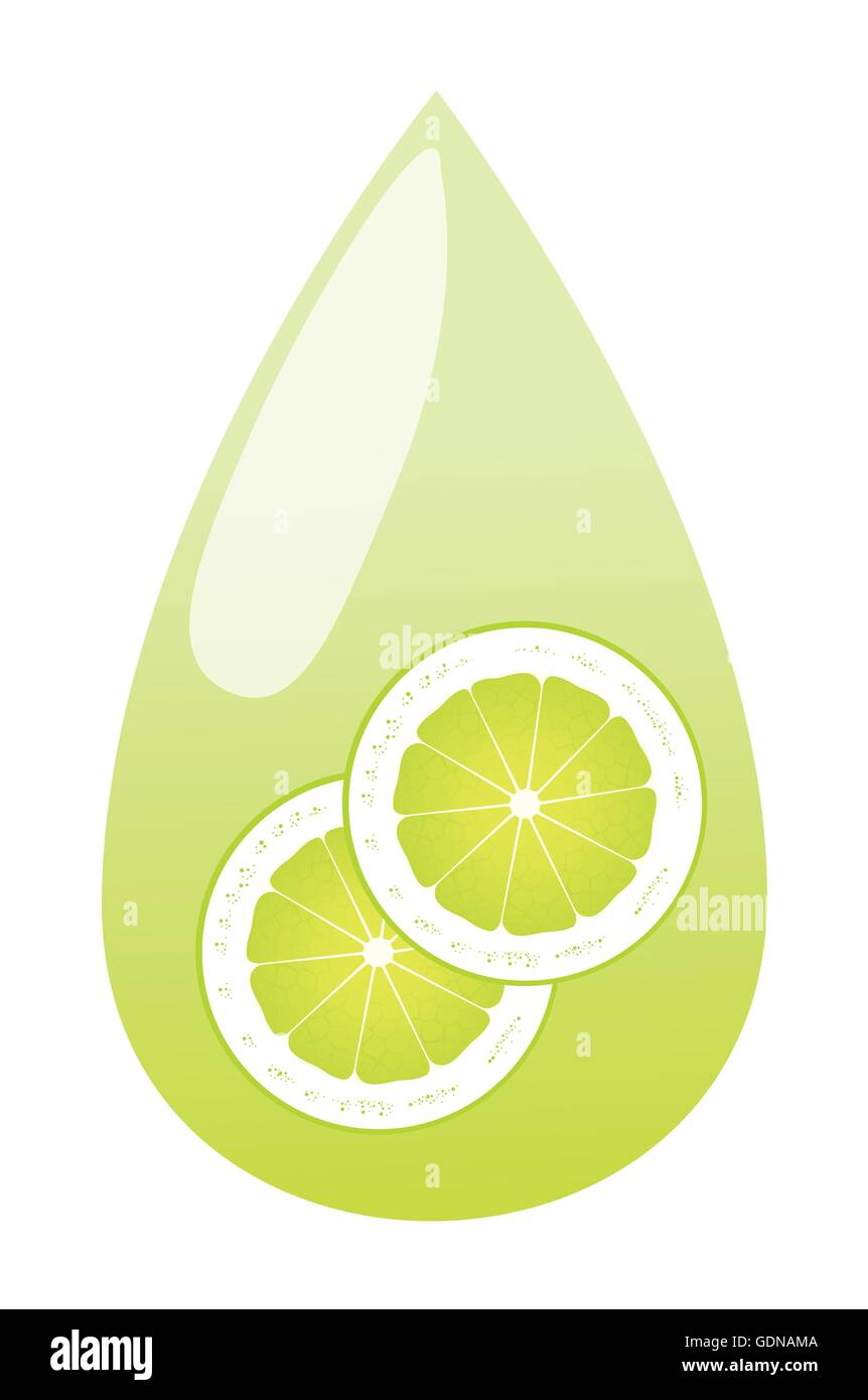 Lime juice splashing drop vector background concept Stock Vector Image ...