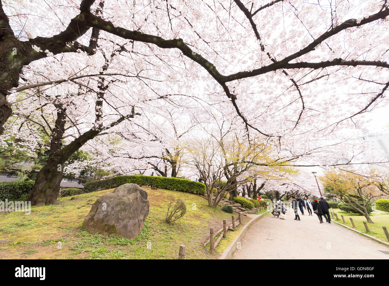 Sumidagawa park hi-res stock photography and images - Alamy