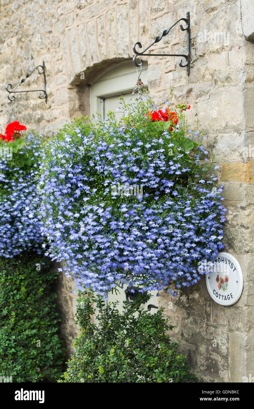 Planting hanging baskets hi-res stock photography and images - Alamy