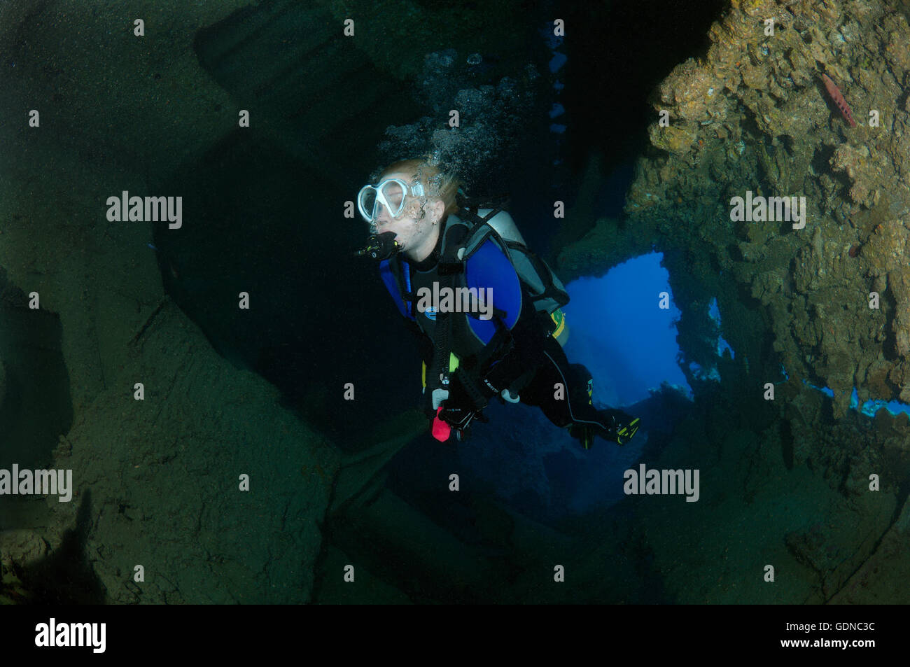 Female scuba diver inside the wreck of the SS Dunraven, Red Sea, Egypt ...