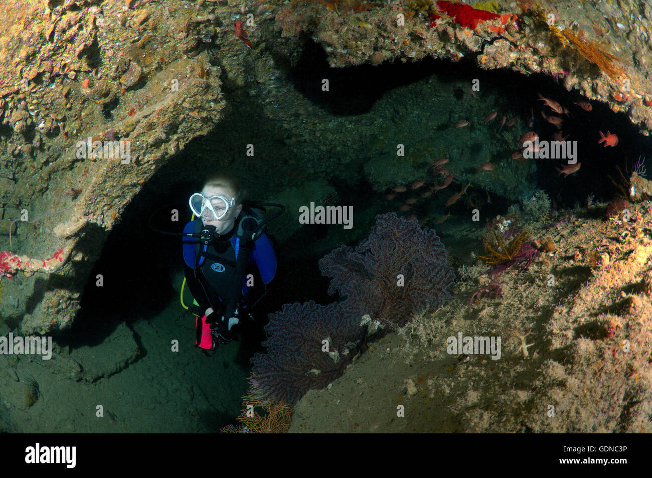 Female scuba diver inside the wreck of the SS Dunraven, Red Sea, Egypt ...