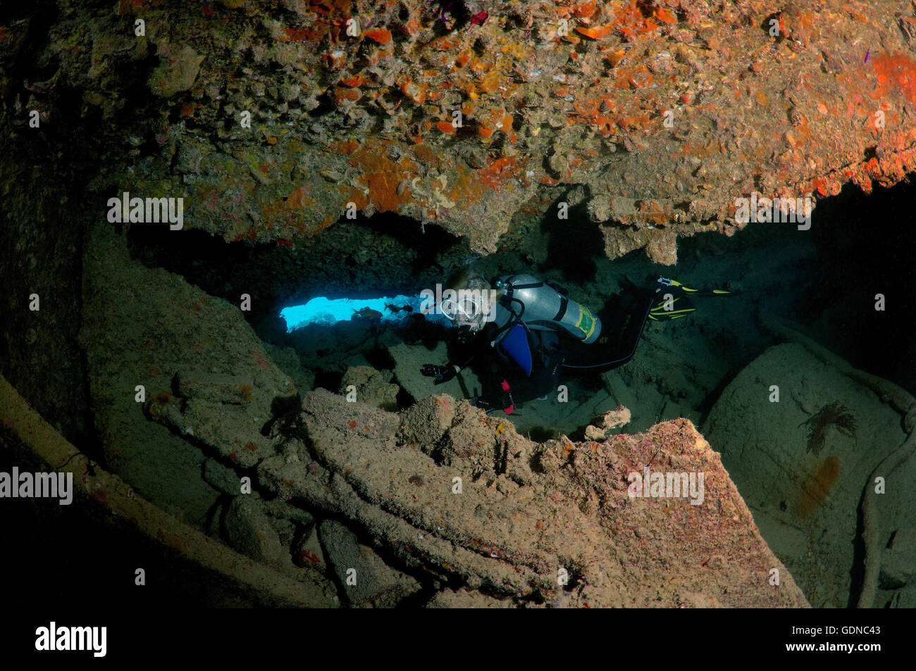 Female scuba diver inside the wreck of the SS Dunraven, Red Sea, Egypt ...