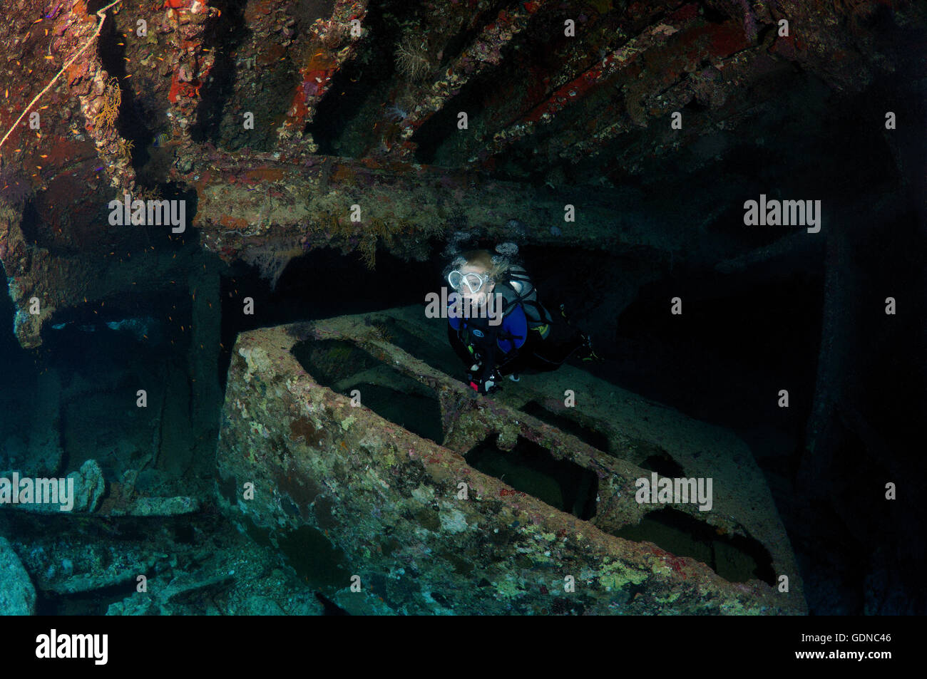 Female scuba diver inside the wreck of the SS Dunraven, Red Sea, Egypt ...