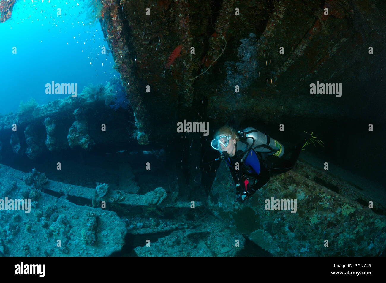 Female scuba diver inside the wreck of the SS Dunraven, Red Sea, Egypt ...
