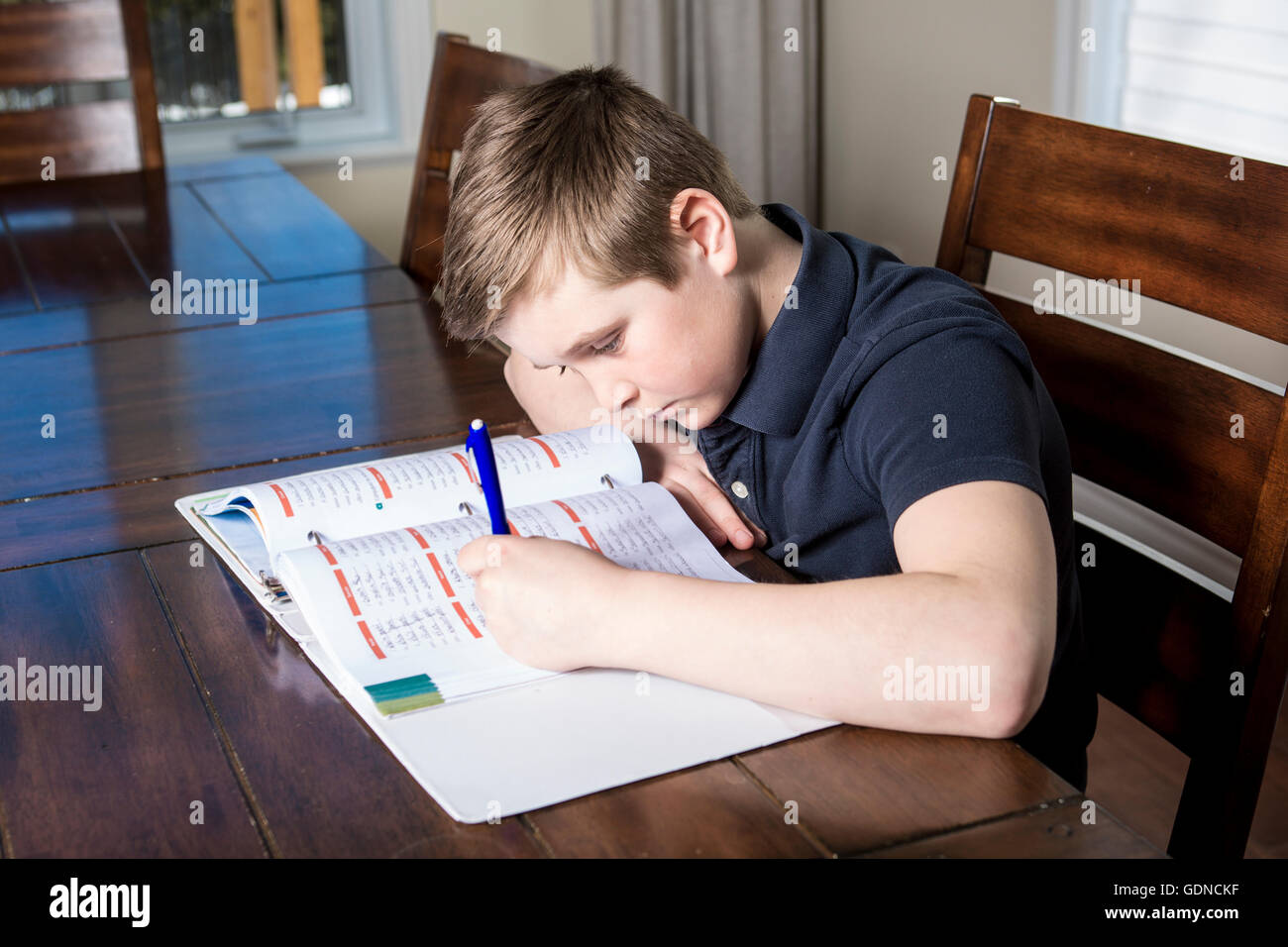 boy doing his homework at home Stock Photo - Alamy