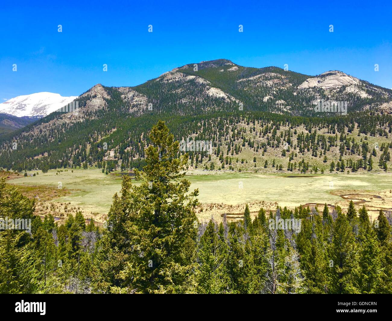 Estes national park summer hi-res stock photography and images - Alamy