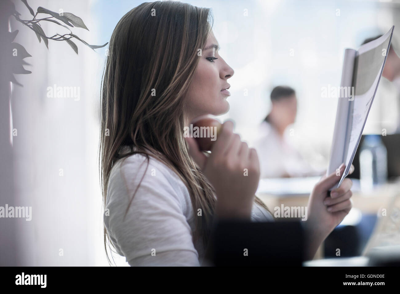 Female designer reading paperwork in design studio Stock Photo - Alamy