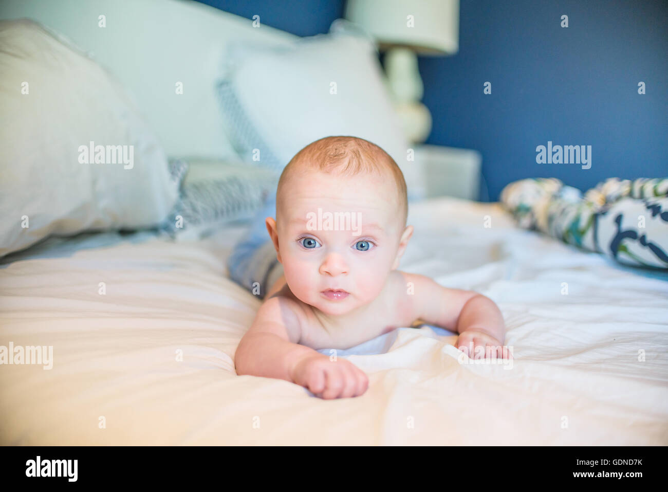 Baby boy lying on front on bed Stock Photo - Alamy