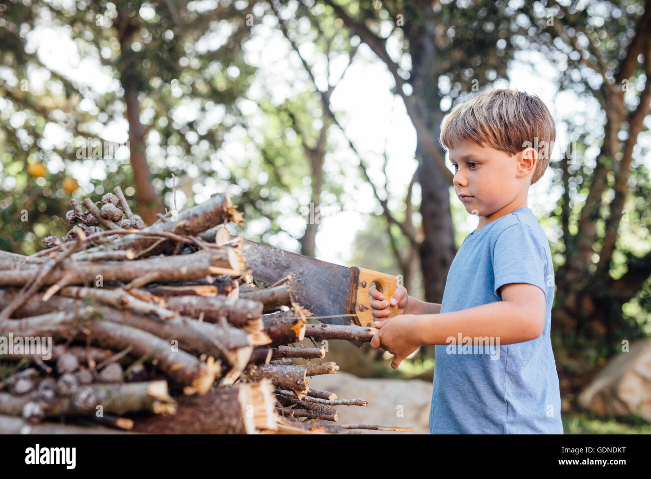 Boy sawing tree branch on woodpile in garden Stock Photo - Alamy